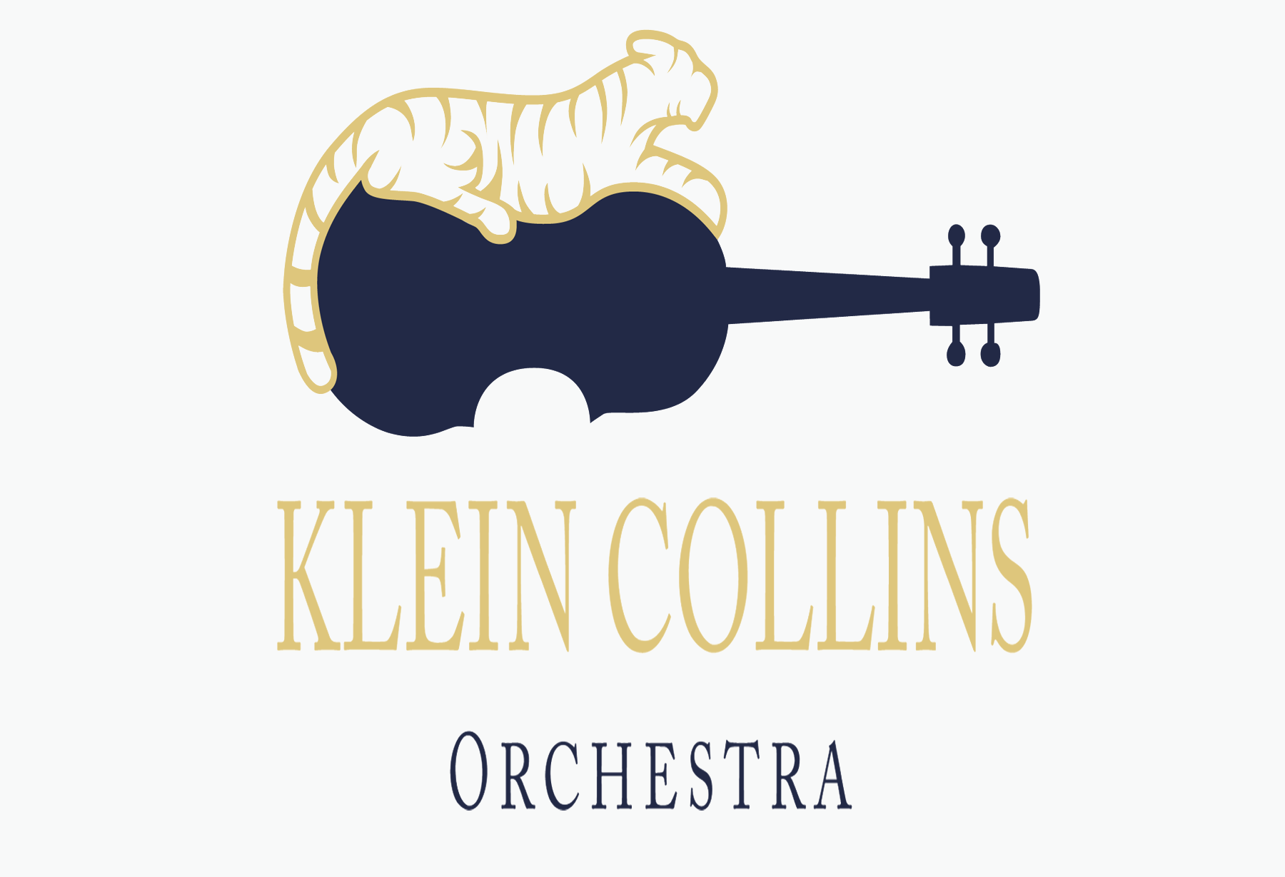 Klein Collins HS Orchestra Concerts | Video Masters Online Store